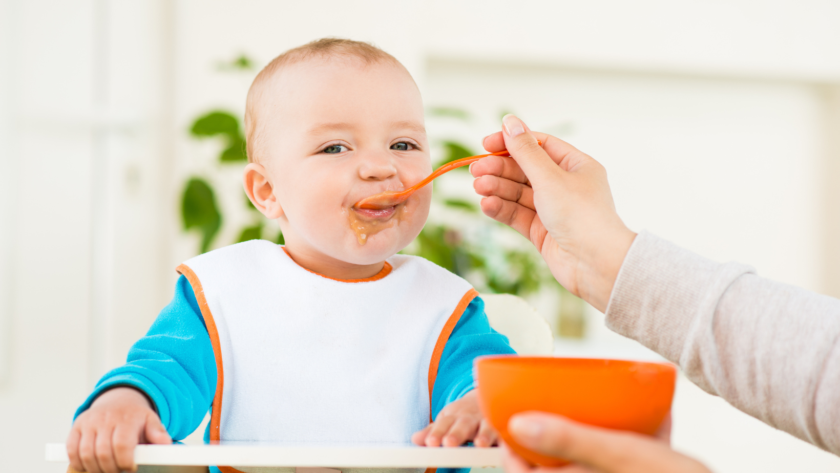 Best Baby Food Brands | A Guide for Parents | Fashf